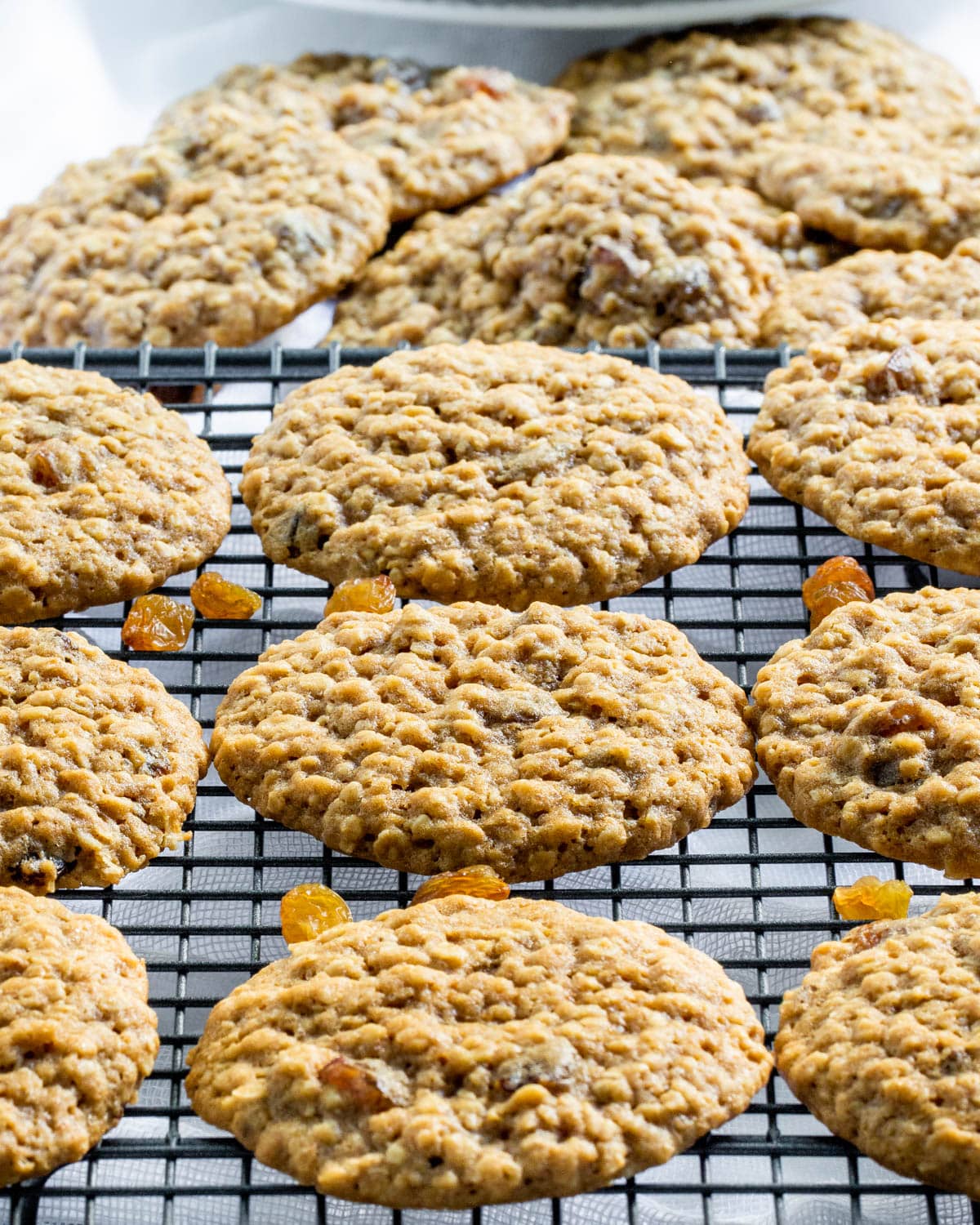 Soft Oatmeal Cookies - Craving Home Cooked