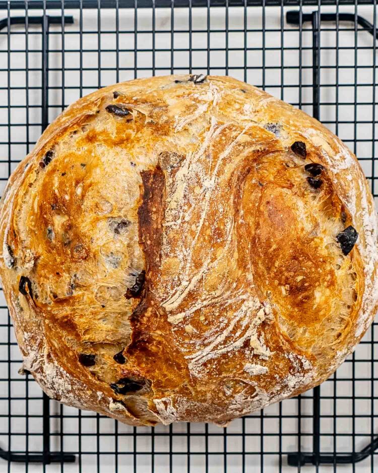 No Knead Olive Bread - Craving Home Cooked