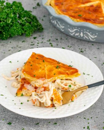 Chicken And Leek Pie - Craving Home Cooked